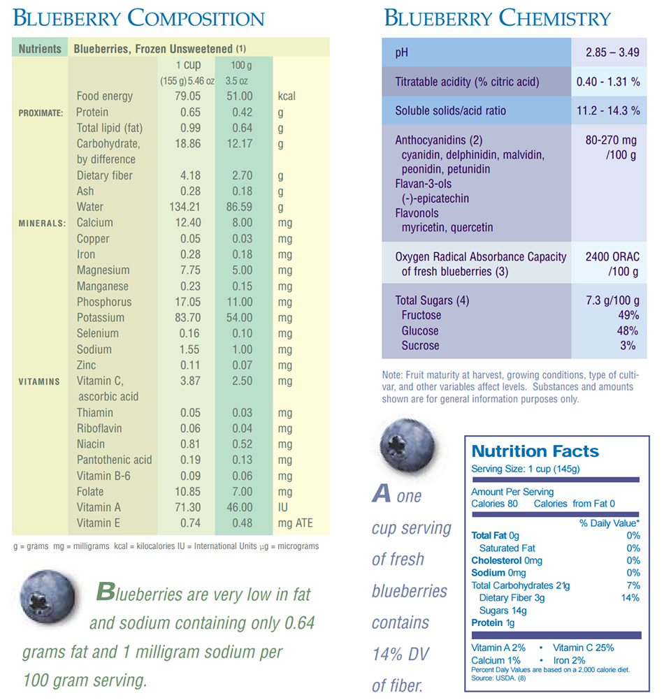 Blueberry Composition – Waikawa Blueberries